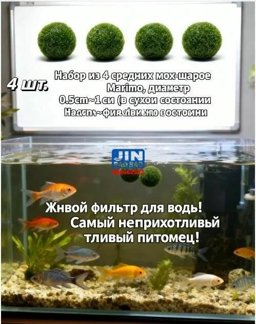 Моховой шар Marimo, 4 штуки, диаметр 1CM-2CM