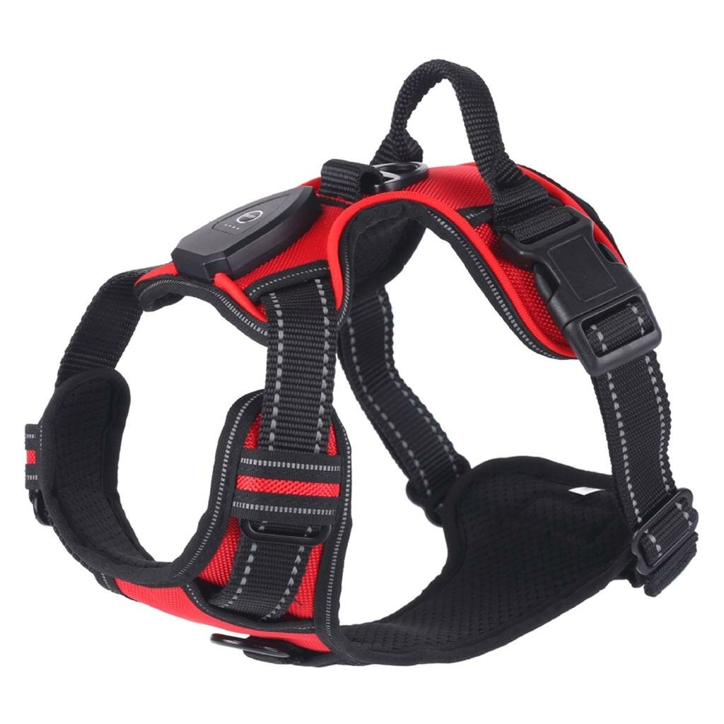 Светящийся жилет для собак с регулировкой, красный - M