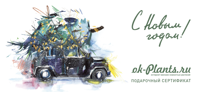 Подарочный сертификат - Ok-Plants | номинал 300 RUB | Россия | Подарок для любого случая