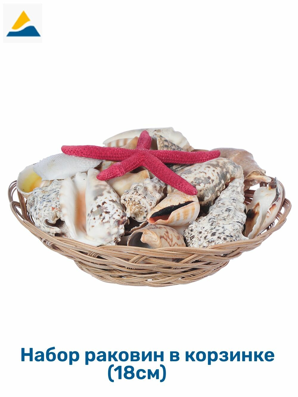 Набор для аквариума аква лого "Морское очарование", морские ракушки, 18×18×9 см