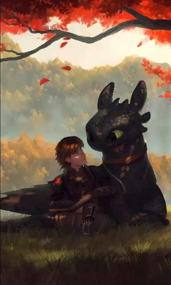 Алмазная Мозаика "как Приручить Своего Дракона" 40X50м Алмазная Вышивка / Картина Стразами Подарков / Украшения