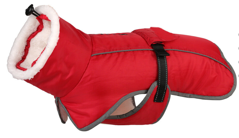 Новая одежда для домашних животных осенью и зимой, теплая, водонепроницаемая, защищающая от холода, хлопковое пальто для собак, аксессуары для собак