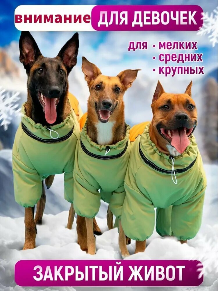 Утепленный комбинезон для собак девочек