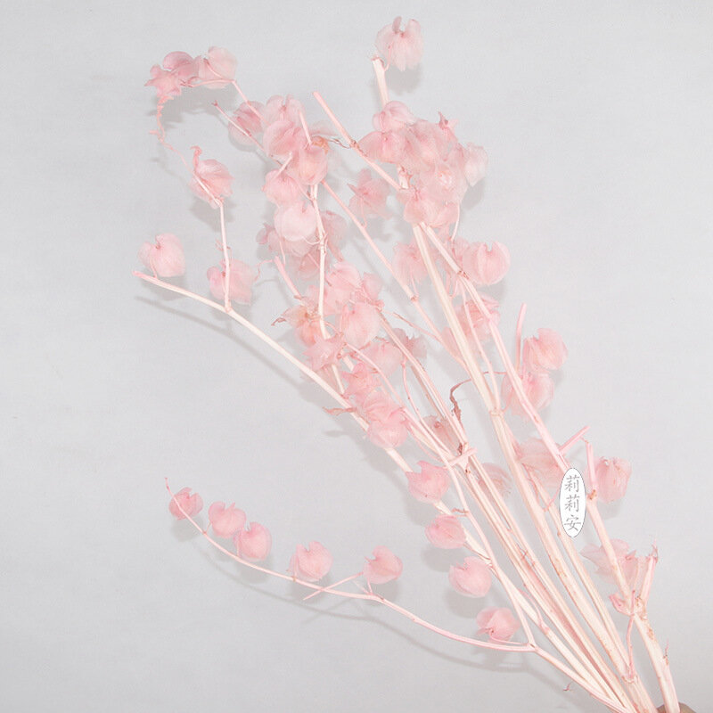 Вечный ветровой колокольчик, фонарь из сухофруктов, свадебное украшение, домашняя цветочная композиция, кислая ягода, настоящий цветок для оконного декора