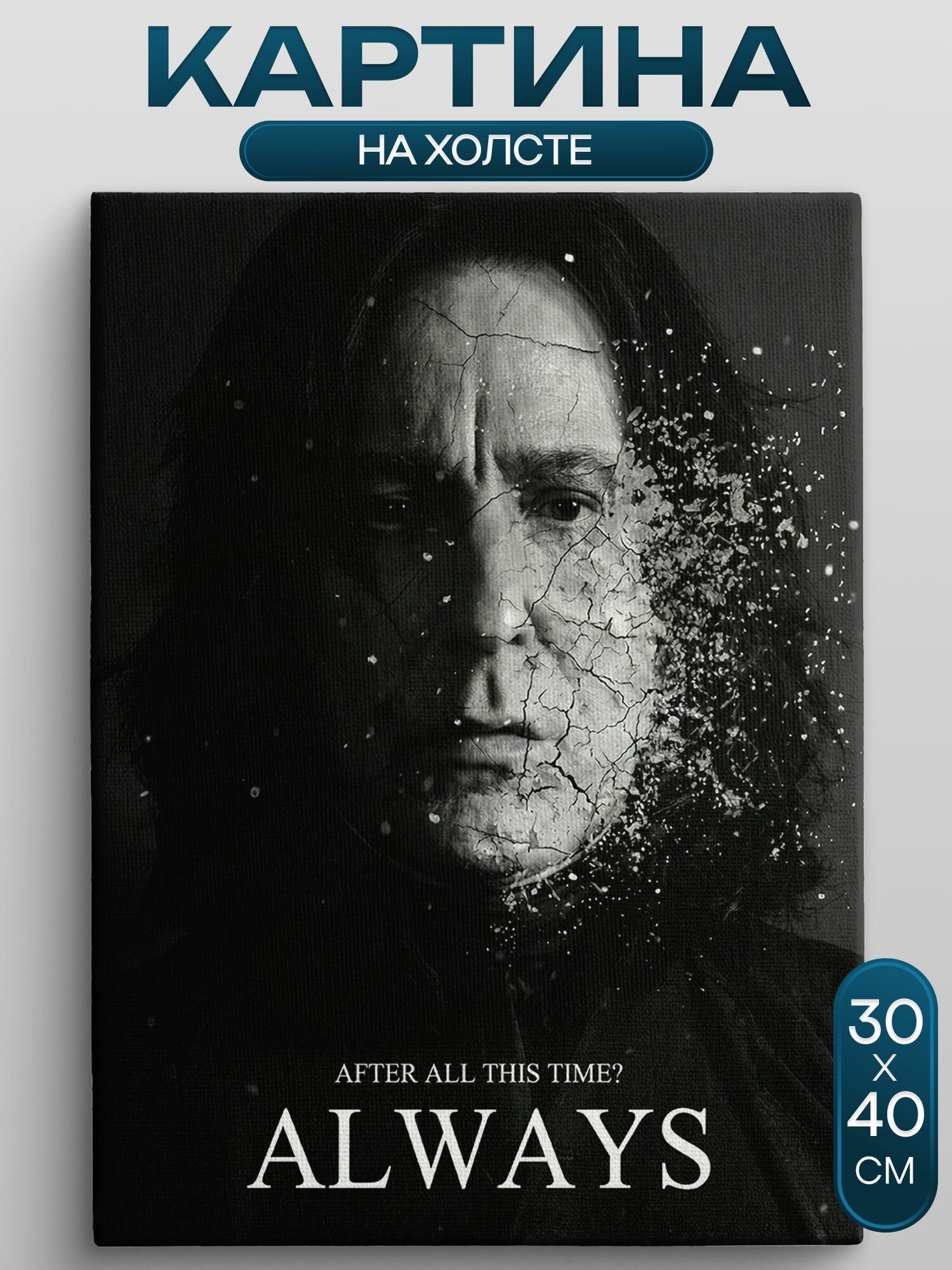 Картина на стену интерьерная Гарри Поттер Северус Снегг