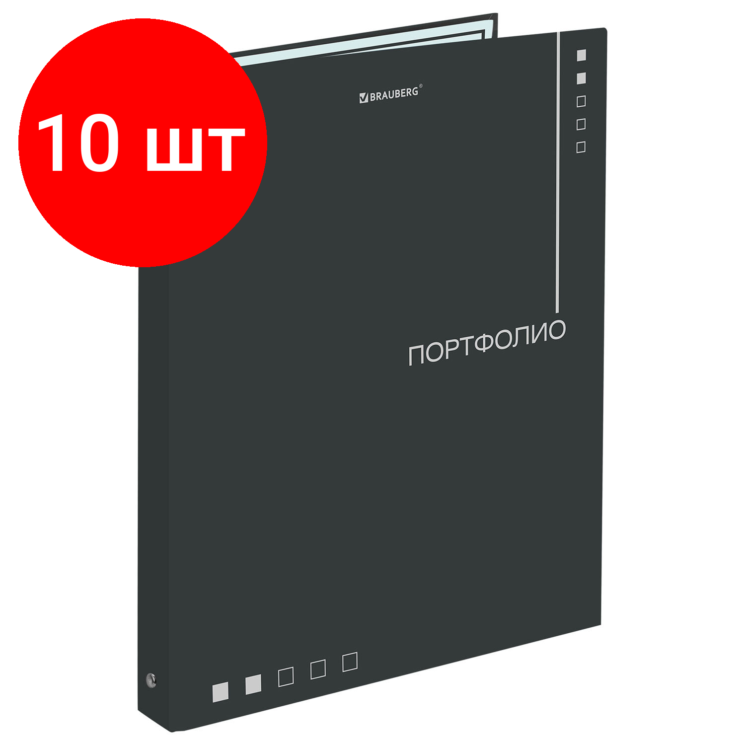 Комплект 10 шт, Папка-портфолио универсальная, 4 кольца, 20 файлов 10 вкладышей, 7БЦ матовая, BRAUBERG, 117553