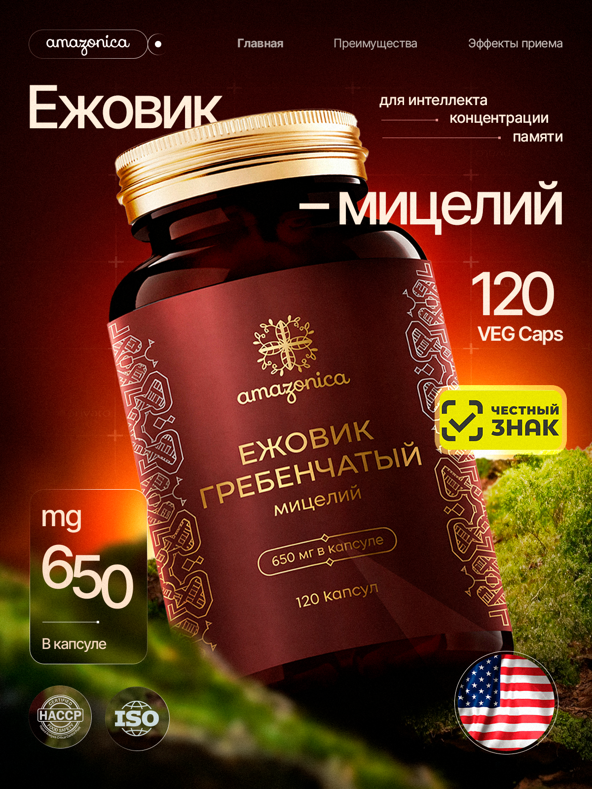 Ежовик гребенчатый Lions Mane Ноотроп, для работы мозга, для памяти