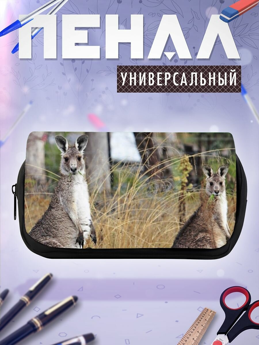 Школьный пенал красный кенгуру наземные животные