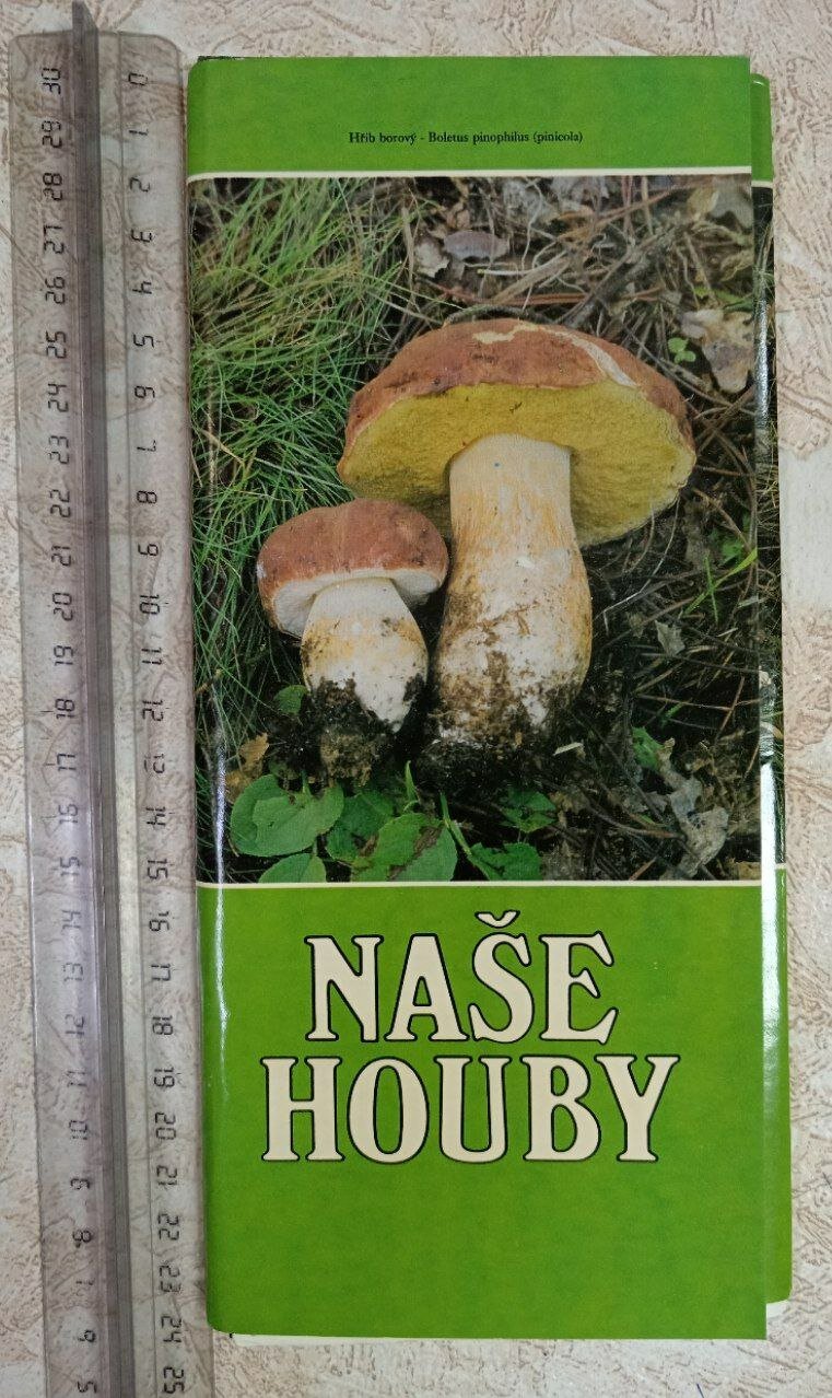 Nase houby (Наши грибы). Набор открыток, 19 шт из 21