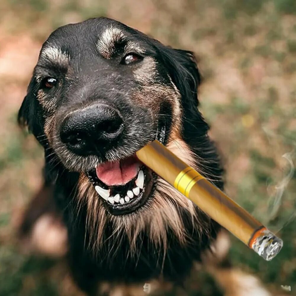 Жевательная игрушка для собак Nestpark Doggy Doobie в виде сигары