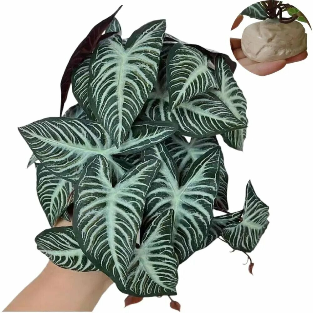 Декор Хабитат