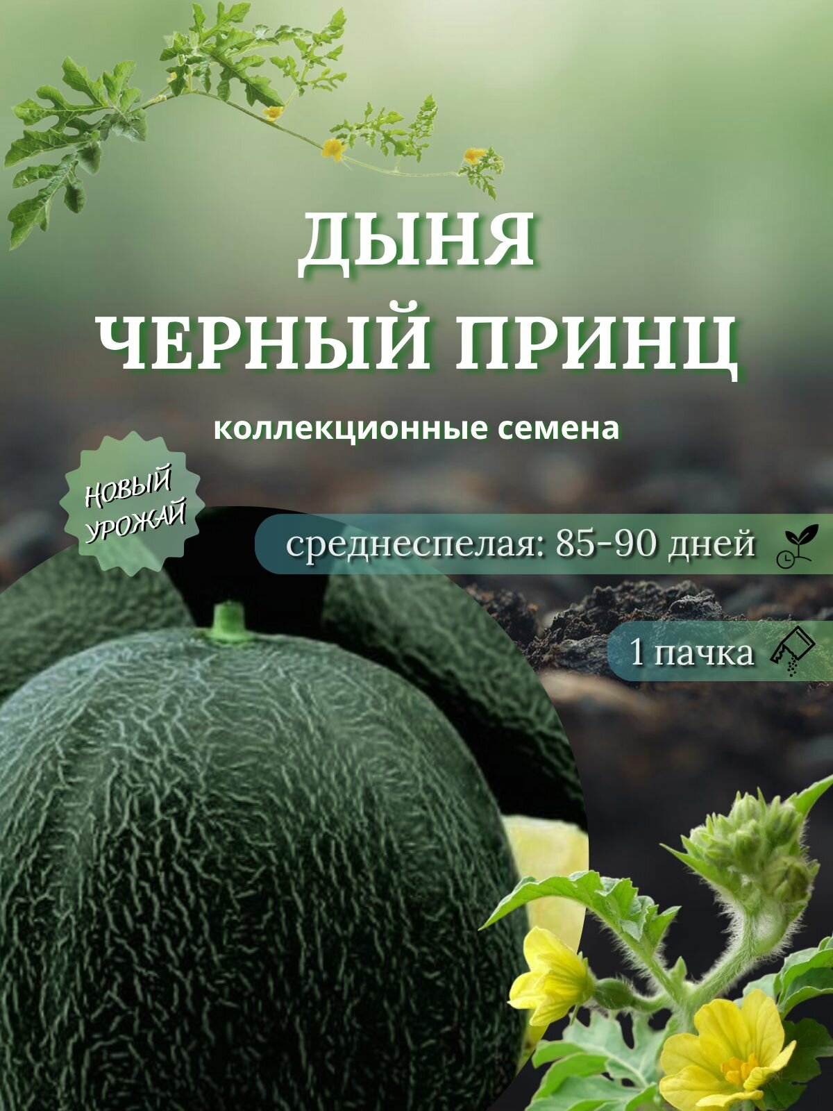 Дыня Черный принц, 10 семян в 1 пачке