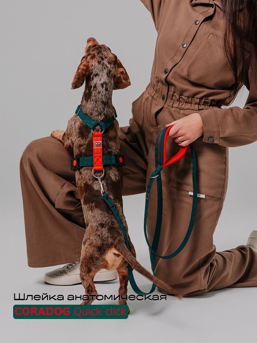 Шлейка прогулочная анатомическая для мелких и средних пород собак, CORADOG Quick click, размер XS, цвет темно-зеленый, красный