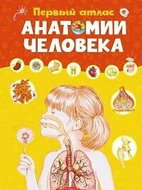Книга "Первый атлас анатомии человека"