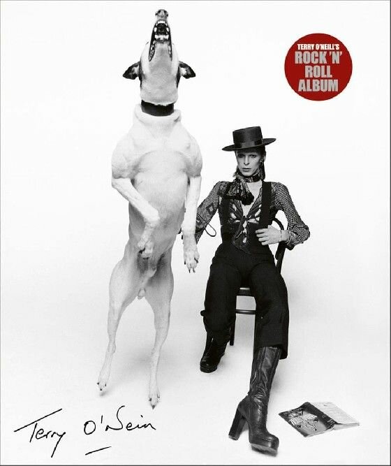 ACC: Terry ONeill. The A-Z of Rock N Roll (Книга)