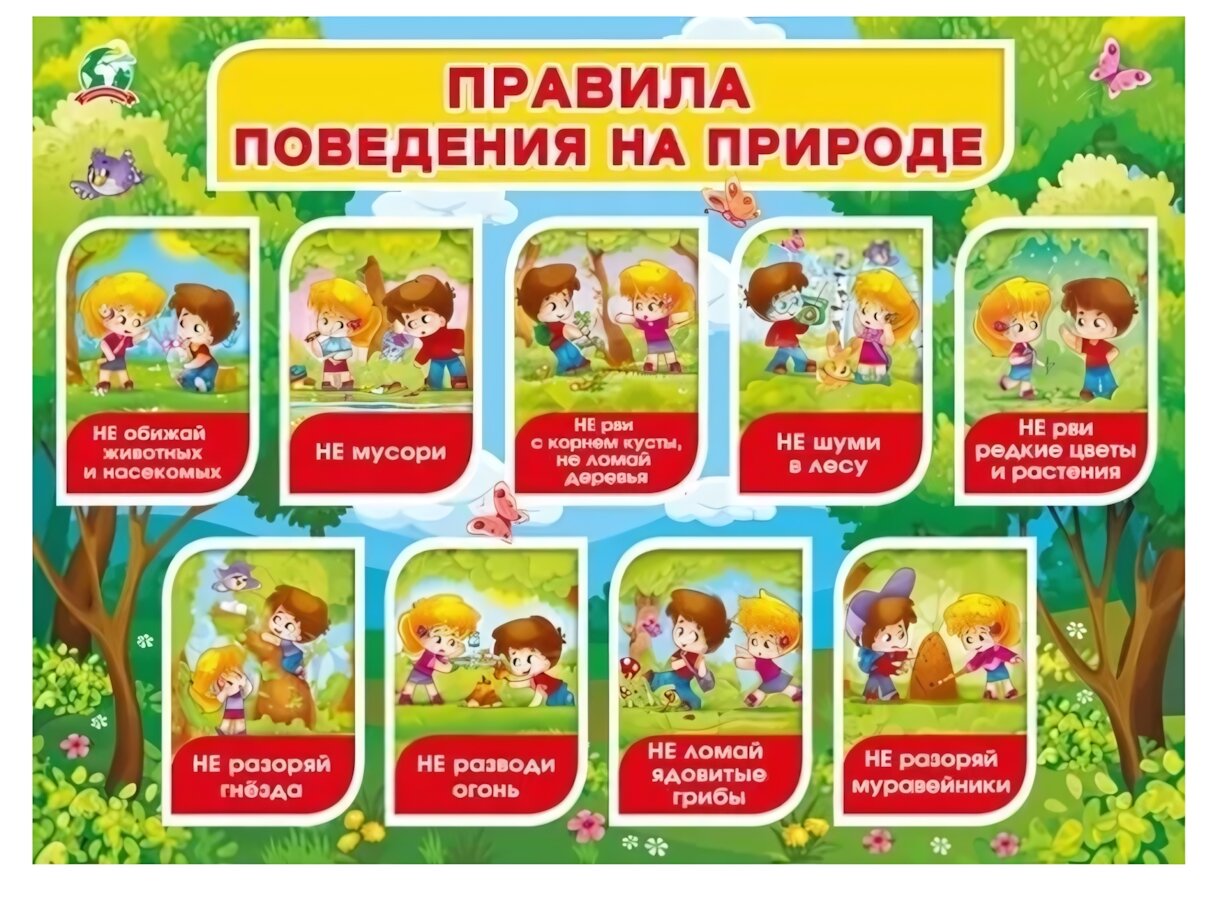 Плакат А2 "Правила поведения на природе", яркие иллюстрации, экологическое воспитание детей