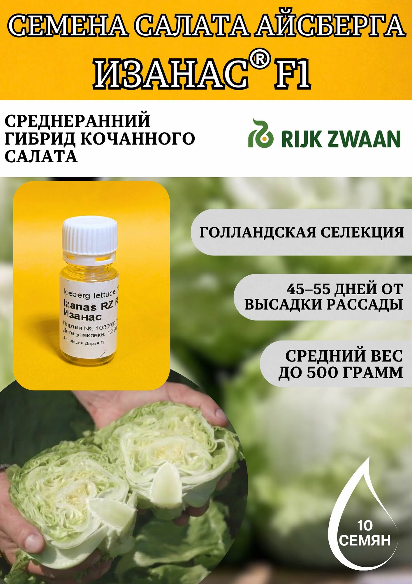 Семена салата айсберг Изанас 10 семян, профессиональные семена