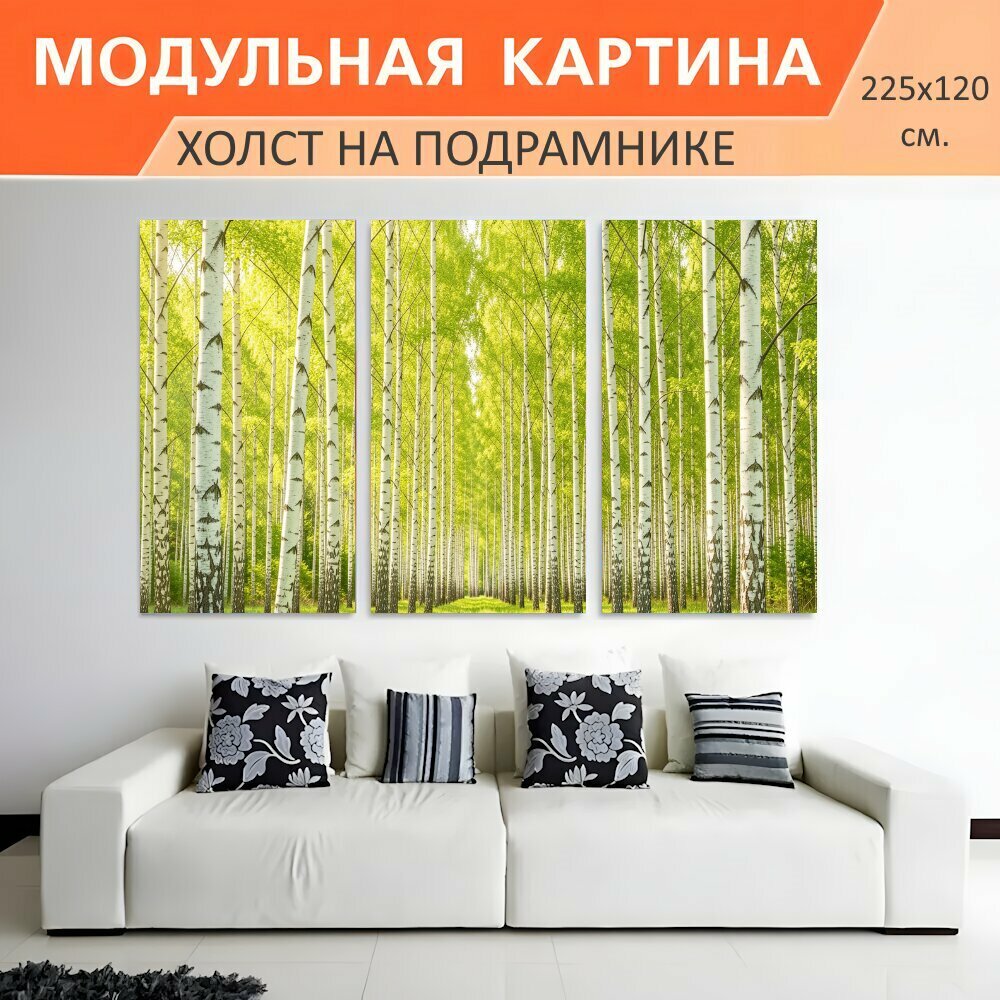 Модульная картина на холсте "Берёзовая роща в солнечный день. Светлый весенний лес с высокими белоствольными деревьями и свежей." триптих на подрамнике 225х120 см. для интерьера