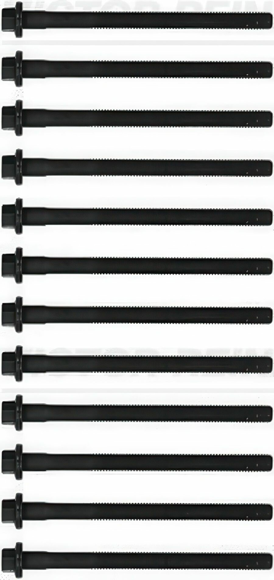 Комплект болтов ГБЦ для Форд Фокус 2 2005-2012, Куга 1 2008-2012, Мондео 4 2007-2015, С-Макс 2006-2014 арт 143228601