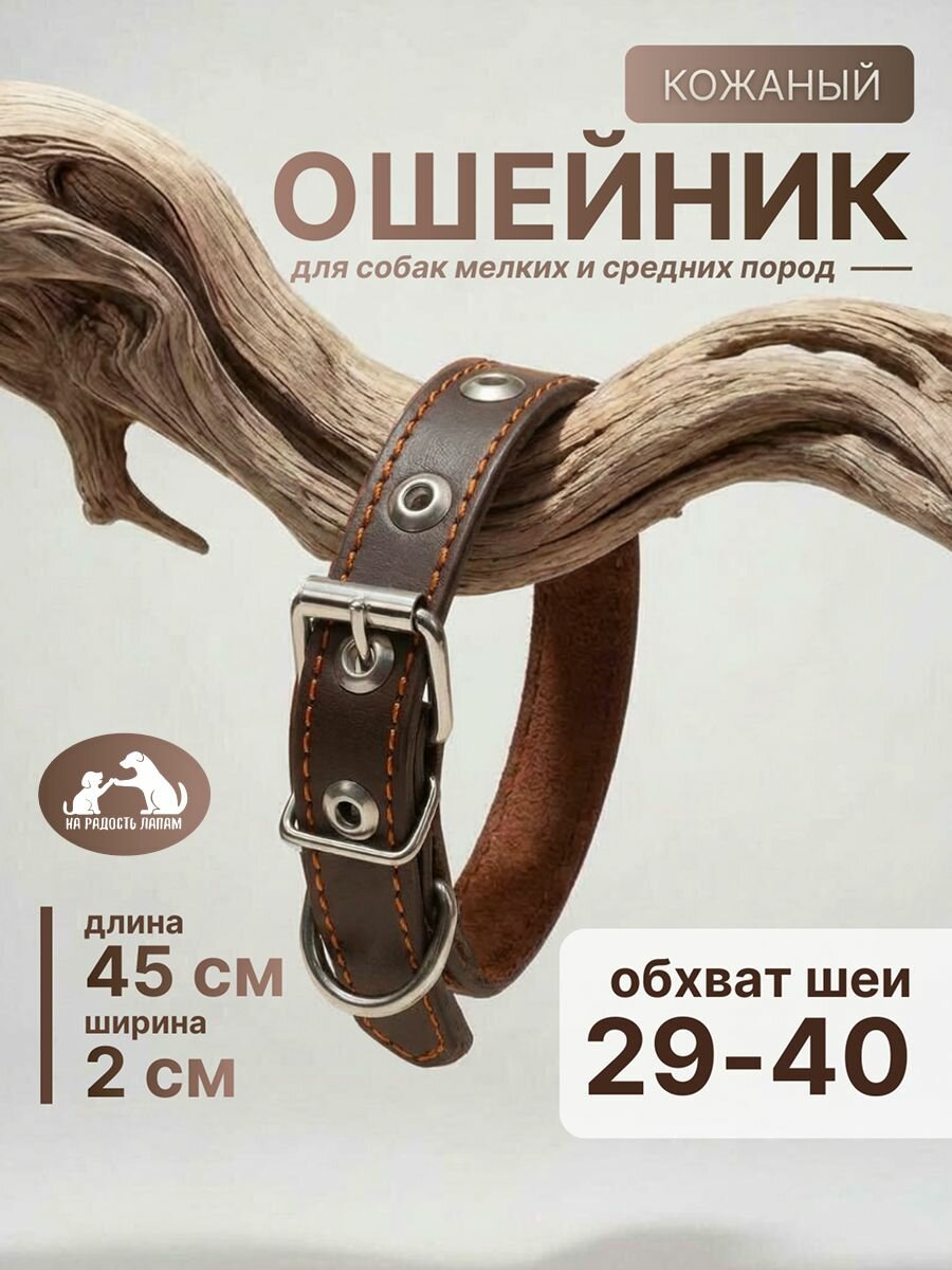 Ошейник для собак кожаный безразмерный , для мелких пород, ширина 2 см кожаный ошейник ошейник для собак ошейник для мелких пород