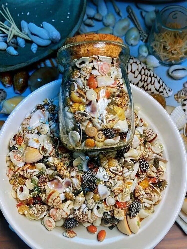 Украшение аквариума из маленькой раковины-ракушки