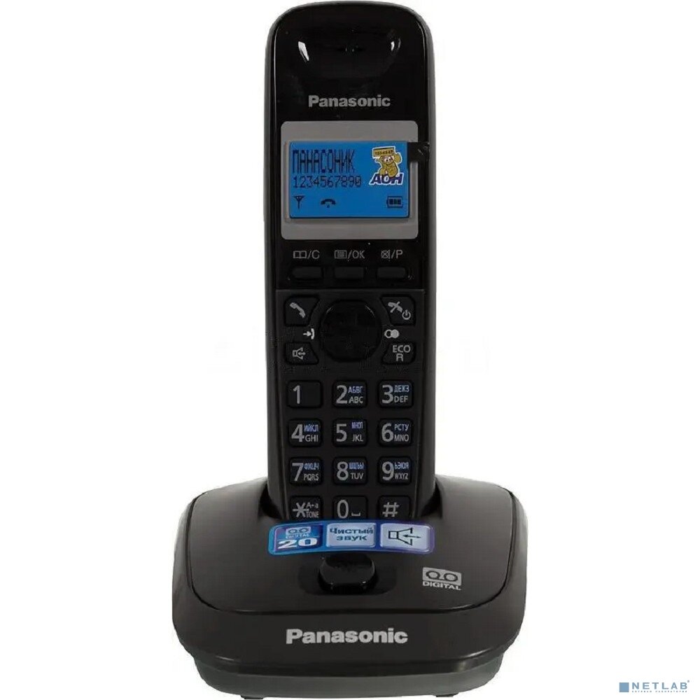 Panasonic KX-TG2521RUT (титан) {АОН, Caller ID, спикерфон, голосовой АОН, полифония, цифровой автоответчик}