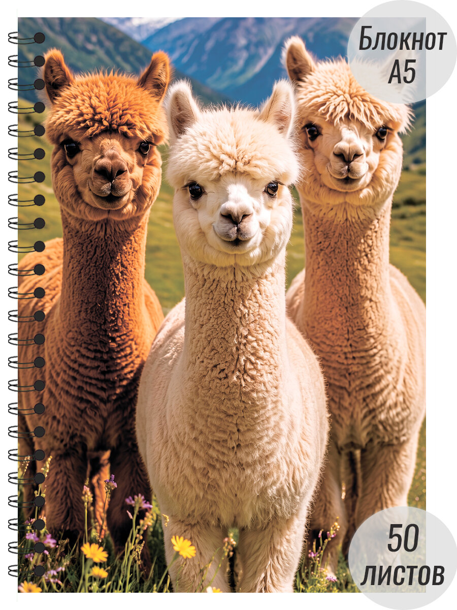 Блокнот Альпаки, Alpacas