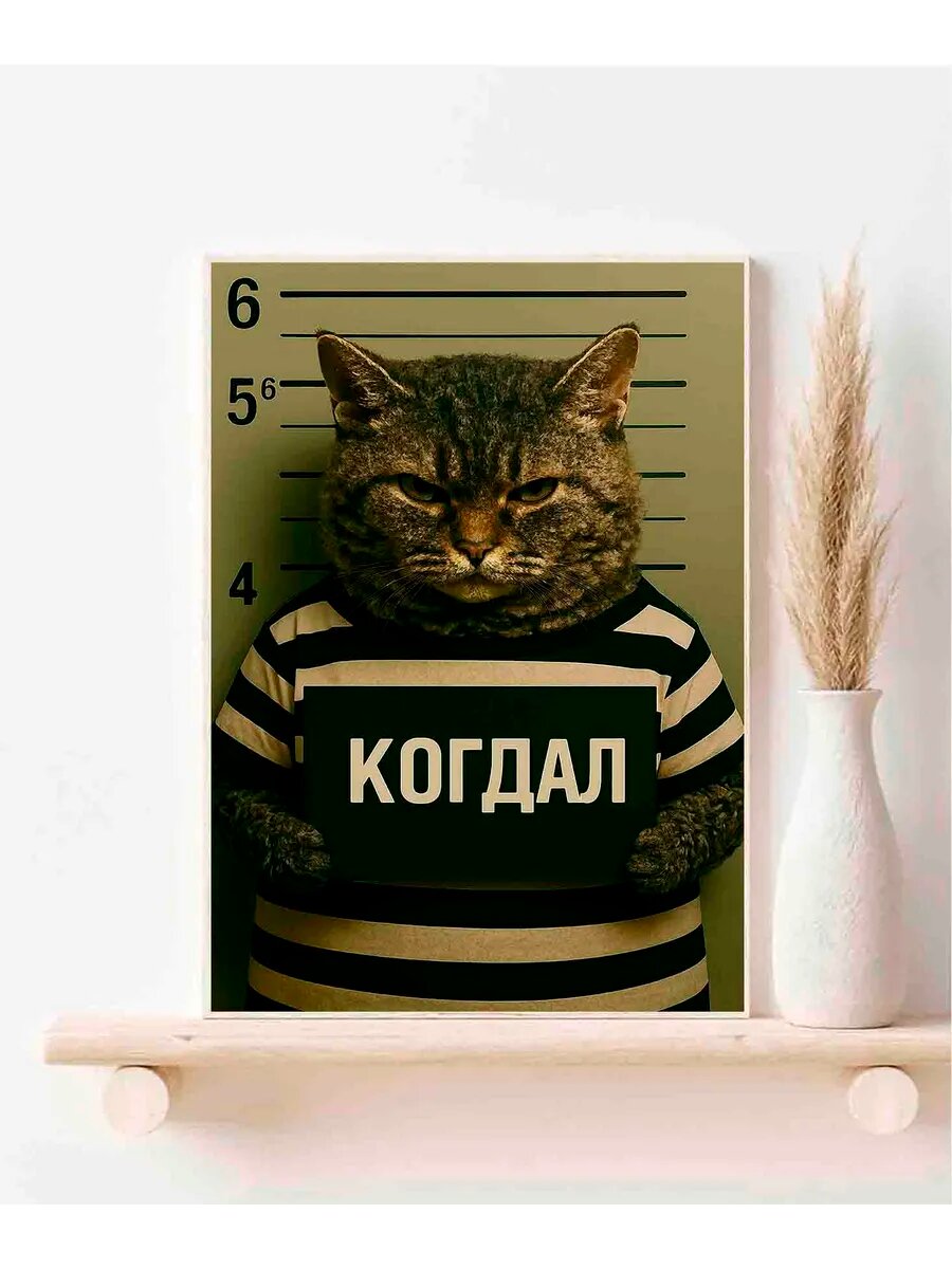Тойгер-кот, Роющийся в мусоре, Роющийся в мусоре, Рылся в М