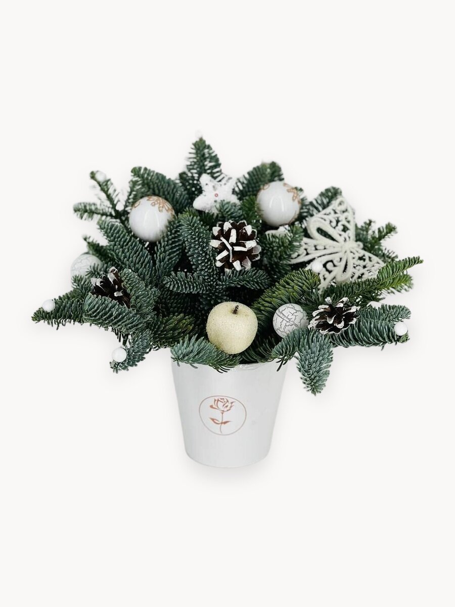 Кашпо белое с живой сосной нобилис Зимний букет Новогодняя композиция