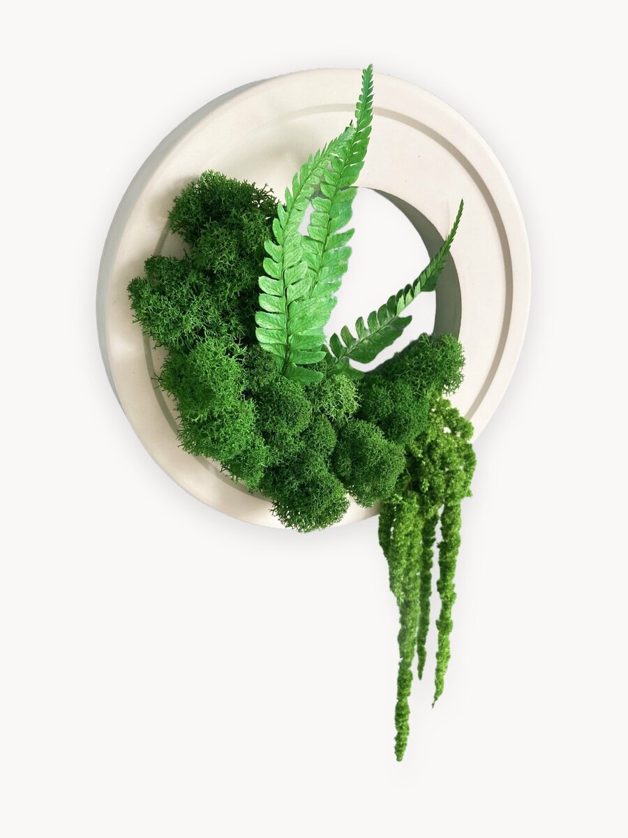 Фито-панно на стену из стабилизированного мха, папоротника, амарант. Диаметр 17 см.