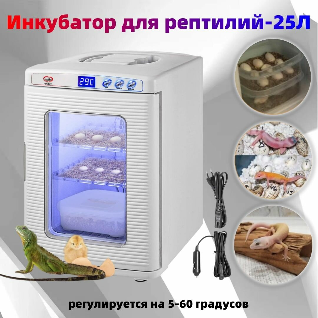 Инкубатор для рептилий-25 литров, Может охлаждаться и нагреваться-белое
