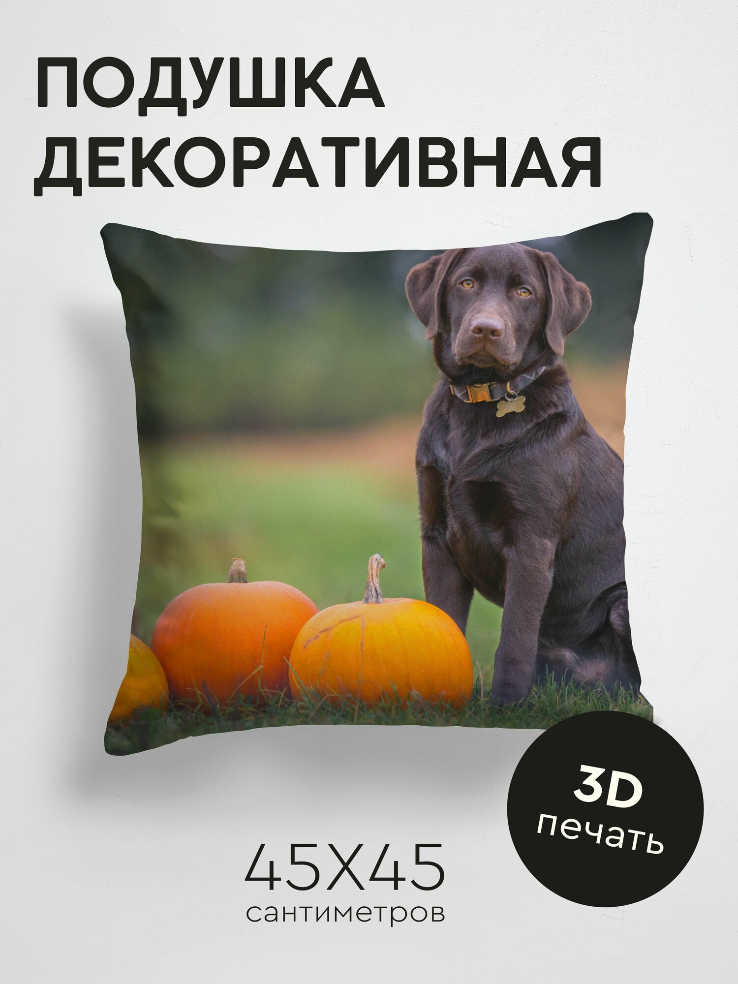 Подушка декоративная, 45x45см / Животные / лабрадор / собака / сидит / тыква