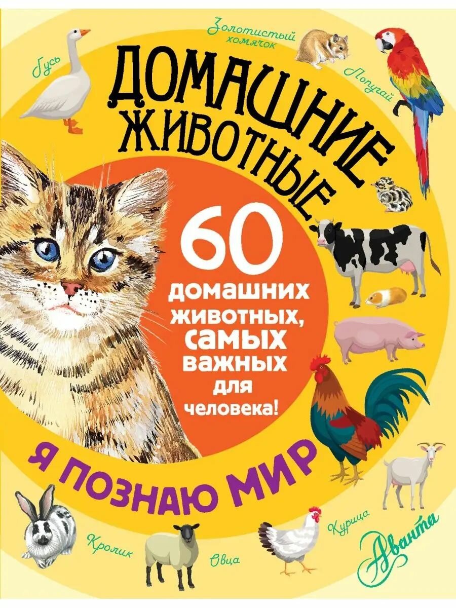 Домашние животные