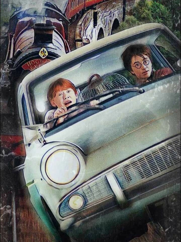 Алмазная картина "Мультфильм Гарри Поттер" алмазная огранка 40х50 см,40X50CM, белый