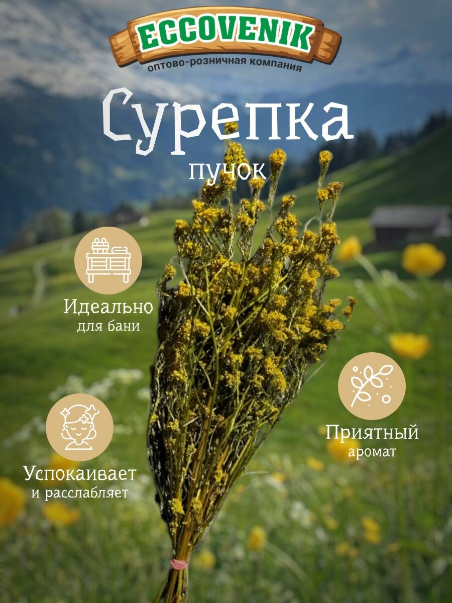 Банный веник сурепка ECCOVENIK "Пучок трав", ручная работа, сбор 2025
