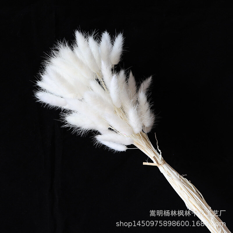 Трава из кроличьего хвоста "Мыльные цветы", 60 палочек, белая