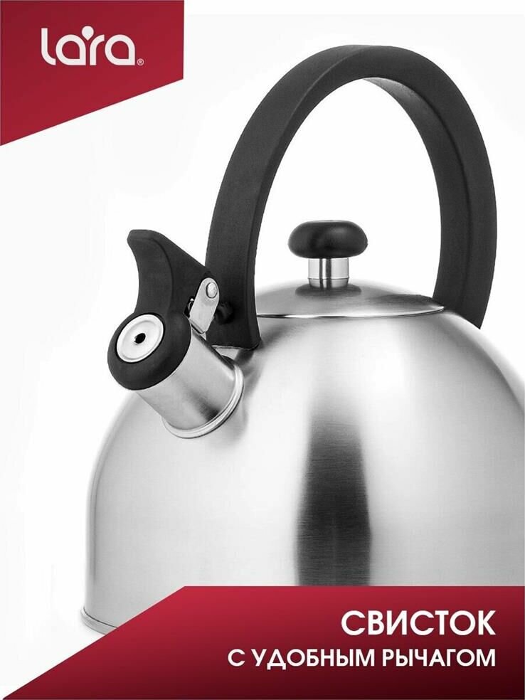 Чайник для плиты LR00-65 2,5л