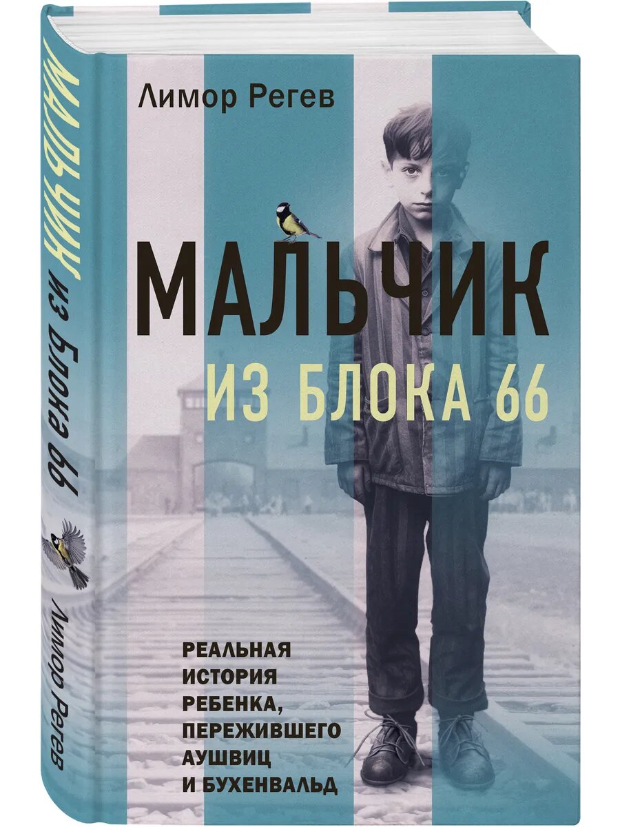 Мальчик из Блока 66. Реальная история ребенка, пережившего