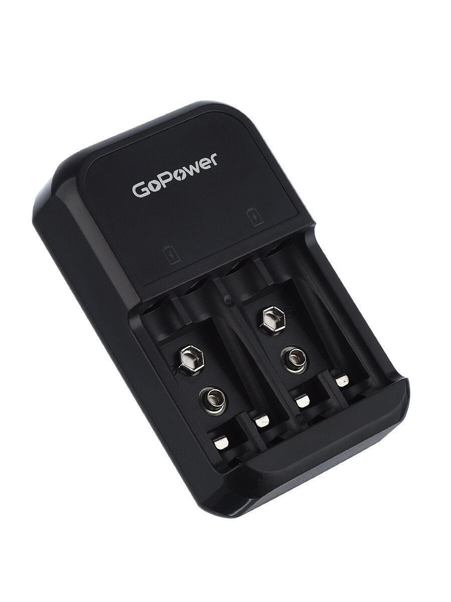Зарядное устройство для аккумуляторов GoPower 00-00031387 iClever 500