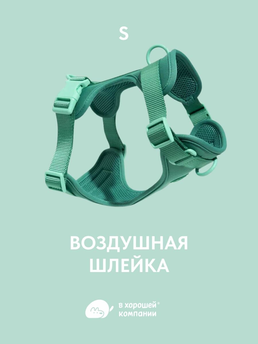 Анатомическая прогулочная шлейка с адресником для собак мелких пород IN GOOD COMPANY (S / зеленый)