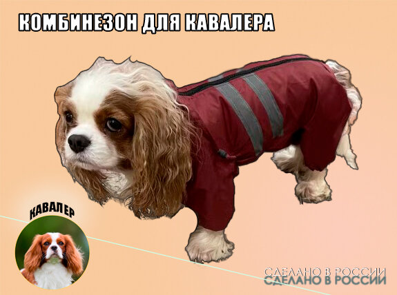 Комбинезон-дождевик для КАВАЛЕР-КИНГ-ЧАРЛЬЗА-СПАНИЕЛЯ кобеля, повышенной прочности, со светоотражающими полосами, цвет бордо