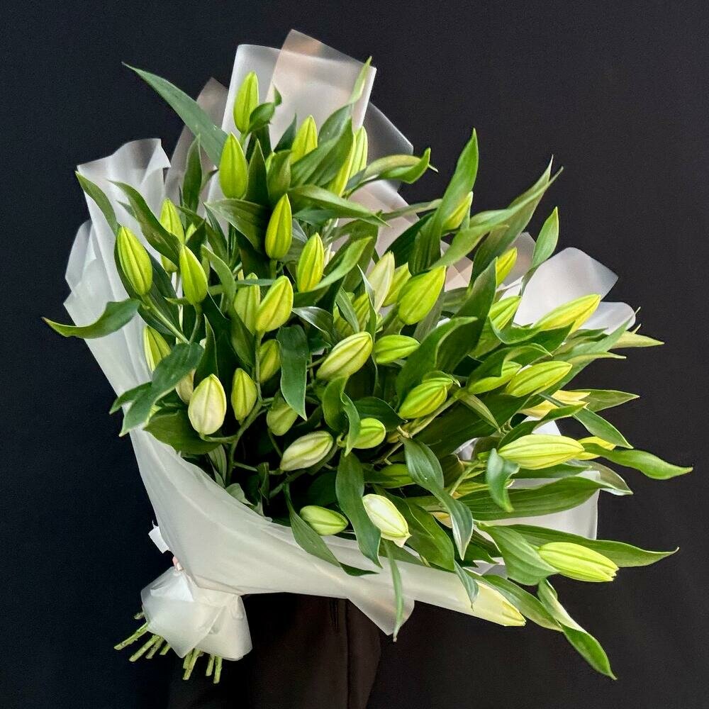 Живые цветы Монобукет Freedom Flowers "Крупные белые лилии", 15 штук, 95 см