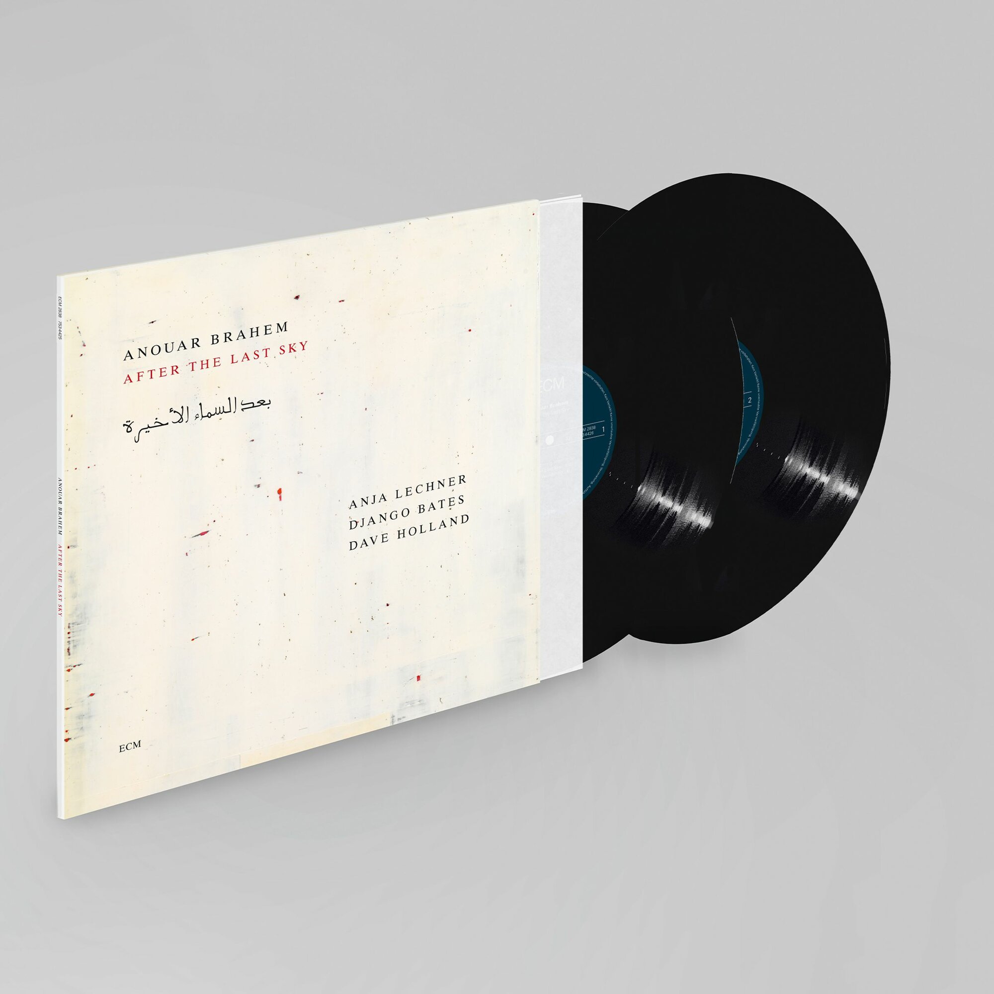 Виниловая пластинка D. Holland - After The Last Sky (2 LP)