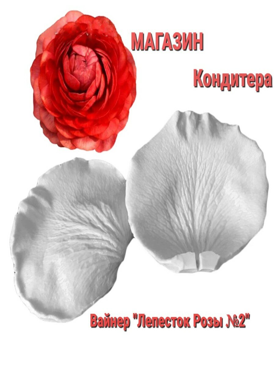 Вайнер "Лепесток Розы №2"