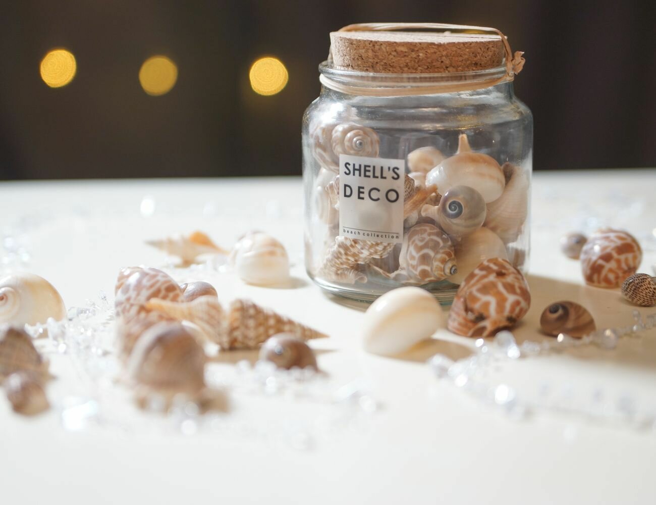 Набор ракушек для декора мелодия моря, пятнистые, 10 см, Koopman International D22200020-2