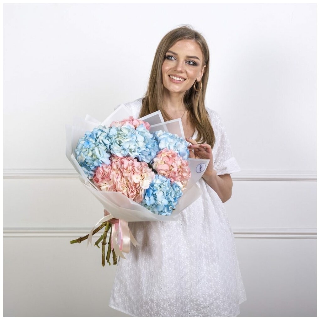 Живые цветы Монобукет гортензии 7 шт, высота 50 см, разноцветный в упаковке , Записка в подарок
