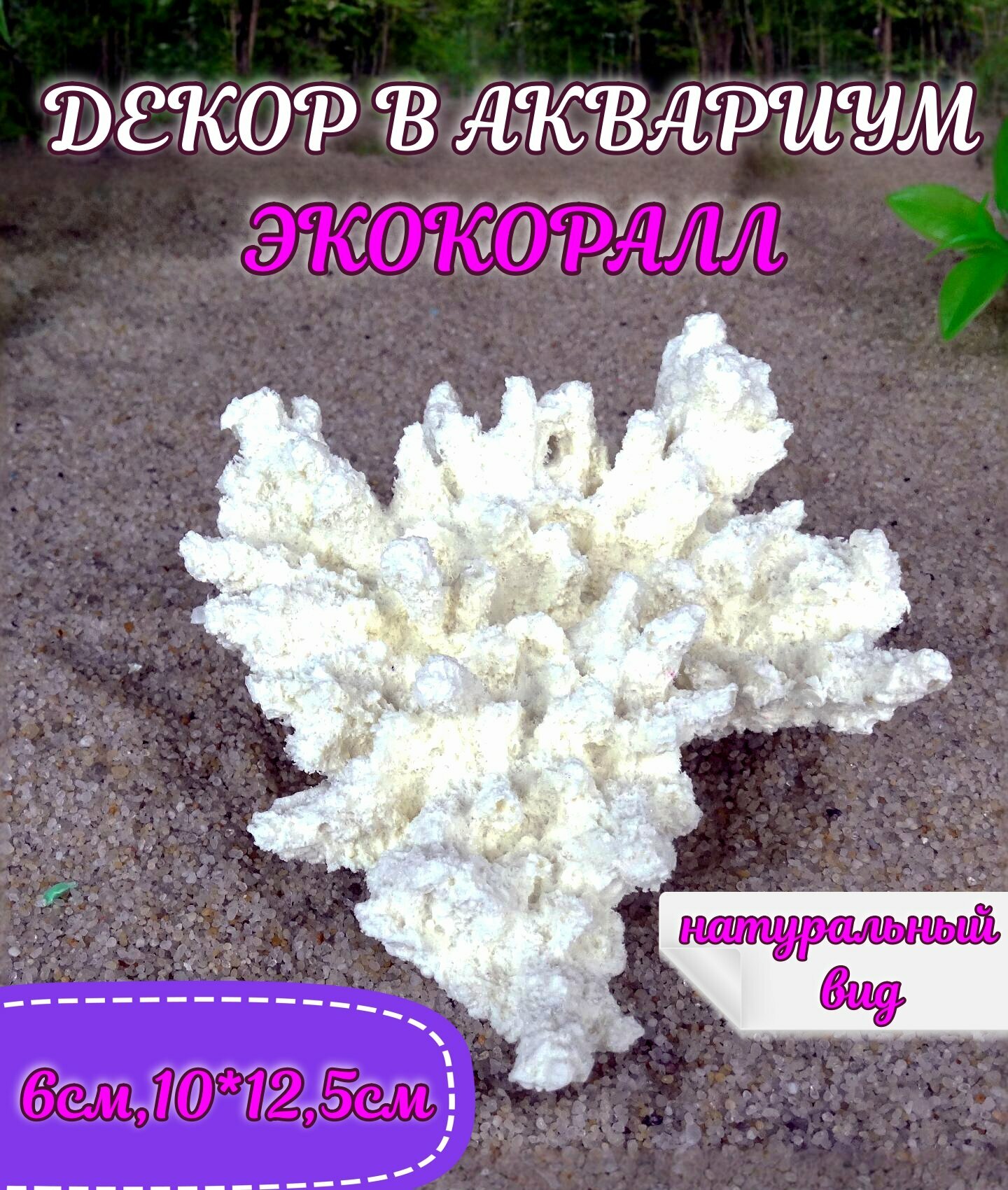 Искусственный коралл КОРАЛЛ ЭКО "Агарицида", биопластик, белый, натуральный вид, эко коралл