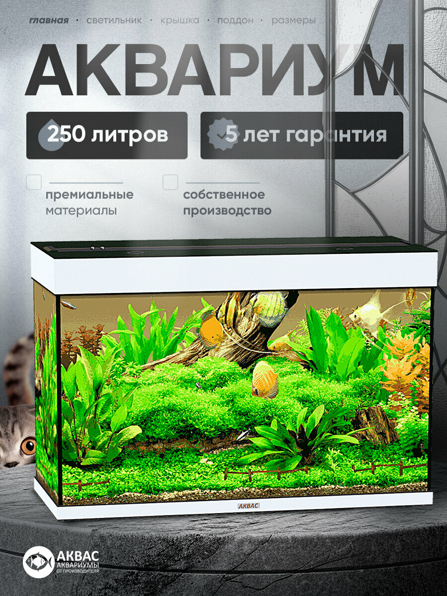 Аквариум 250 литров с крышкой и освещением, (101*41*69 см) Аквас