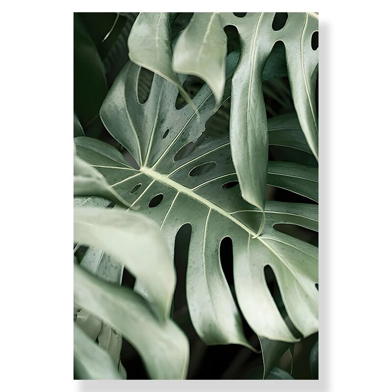 Джунгли Пейзаж Холст Плакат Животное Леопард Слон Принт Картина Пальмовые Листья Лес Река Мост Скандинавская Картина Украшение