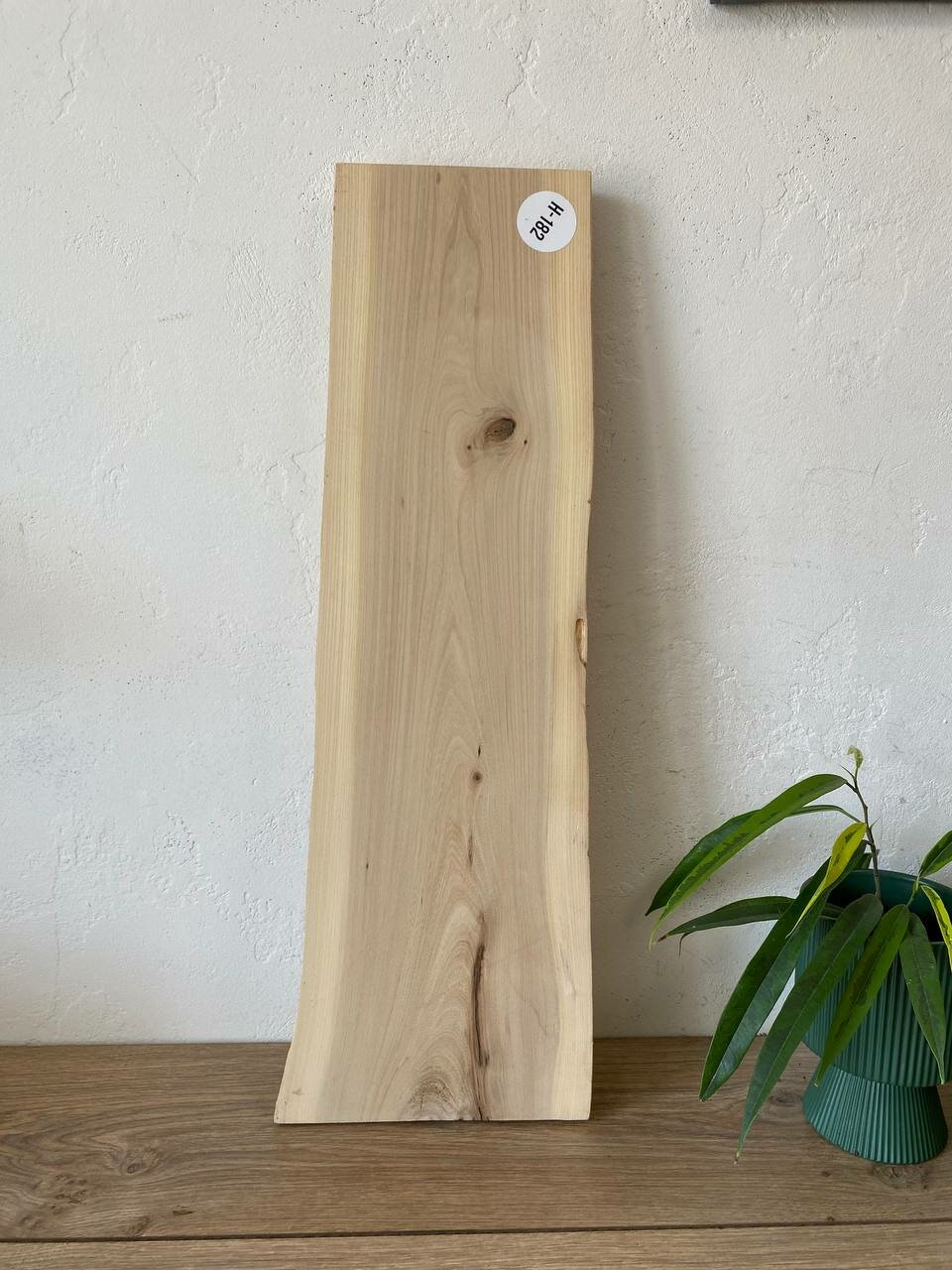 Доска карагач ( вяз) 64,4х21,6х3 см. Столешница из натурального дерева. Заготовка для творческих идей. Подходит для ванной, для стола. Сухая строганная.